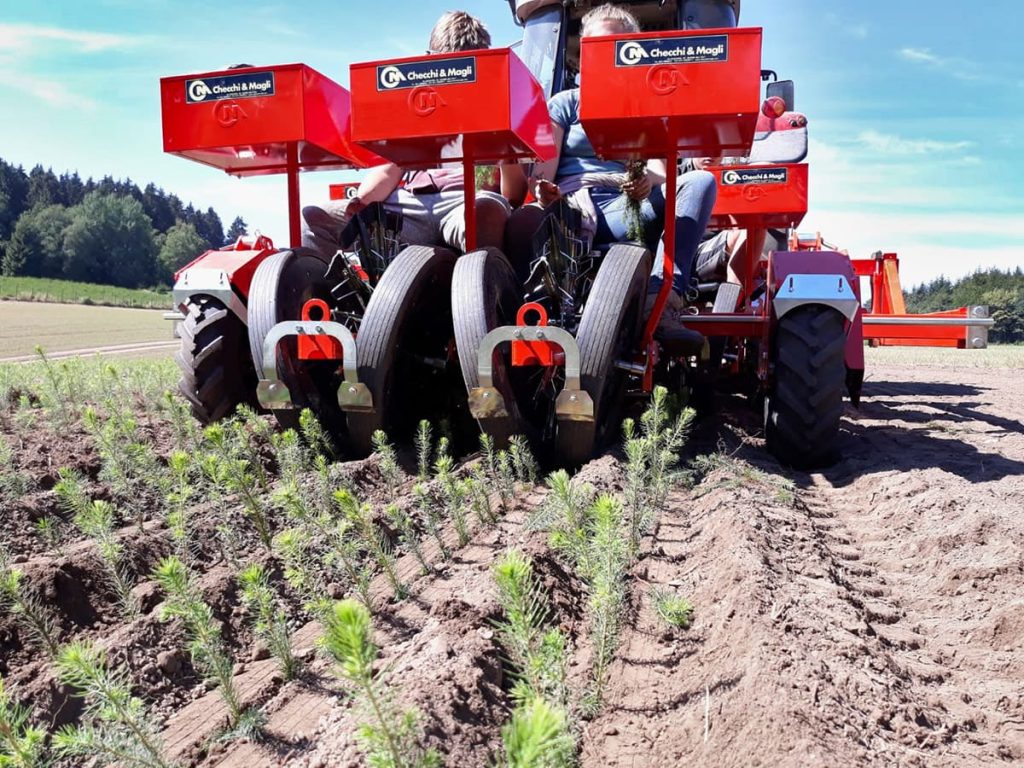 Transplanters Foxdrive R14 - Checchi & Magli